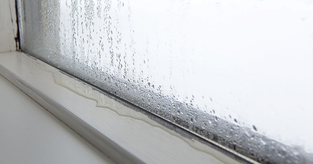 What’s the Cause of Window Condensation? - Universal Windows Direct
